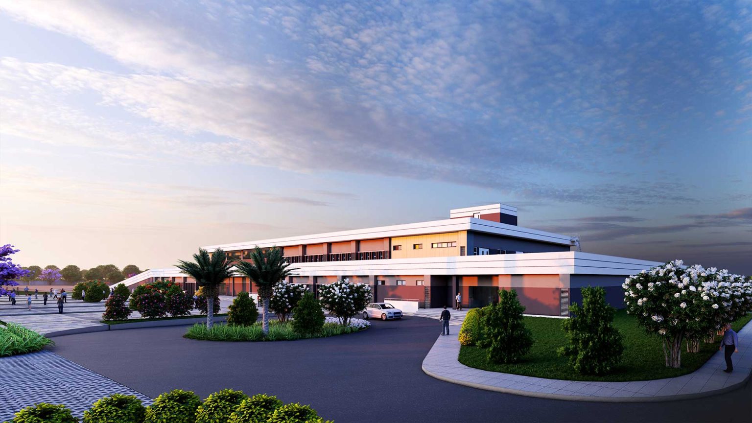 New National Cricket Academy Bengaluru - Collage Design